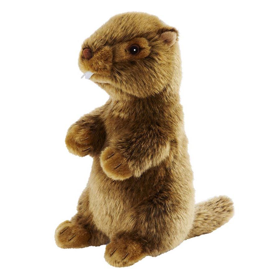 Buy Marmot Soft Toy | Anima Plush